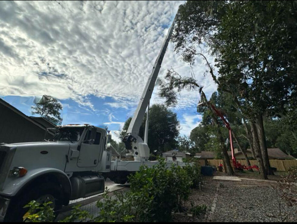 Crane Services - Tree Work by Mitch Drake & Sons