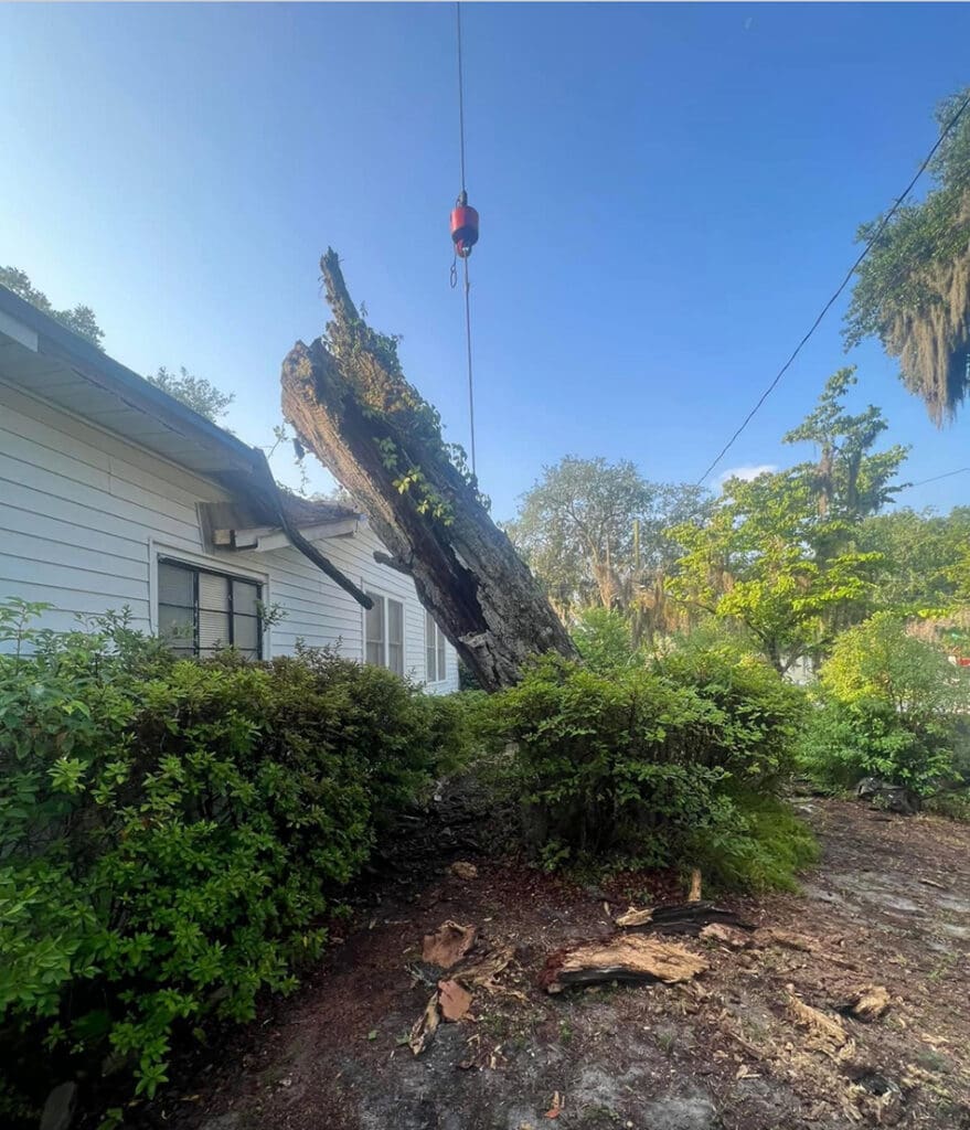 Emergency Services - Tree Work by Mitch Drake & Sons